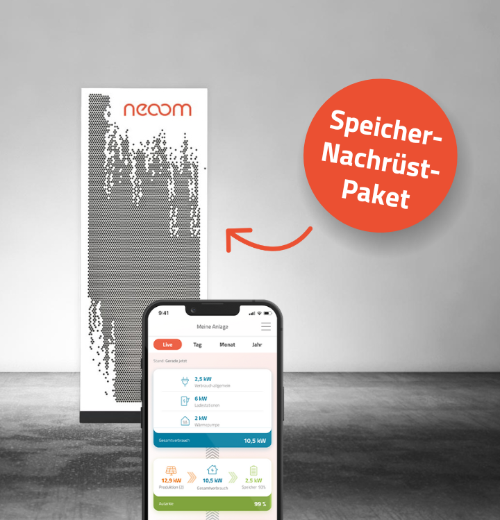 Smart Charging: Mit intelligentem Laden Geld sparen | neoom